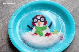 Plastic Plate Snow Globe - Smart School House
