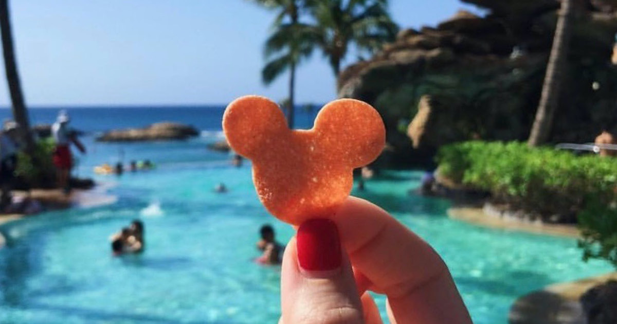 15 DIY Disney Ideas: Crafts, Recipes, Travel Tips and More!