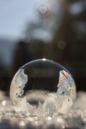 How to Make Frozen Bubbles!