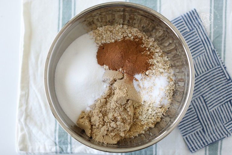 Homemade Instant Oatmeal Packets